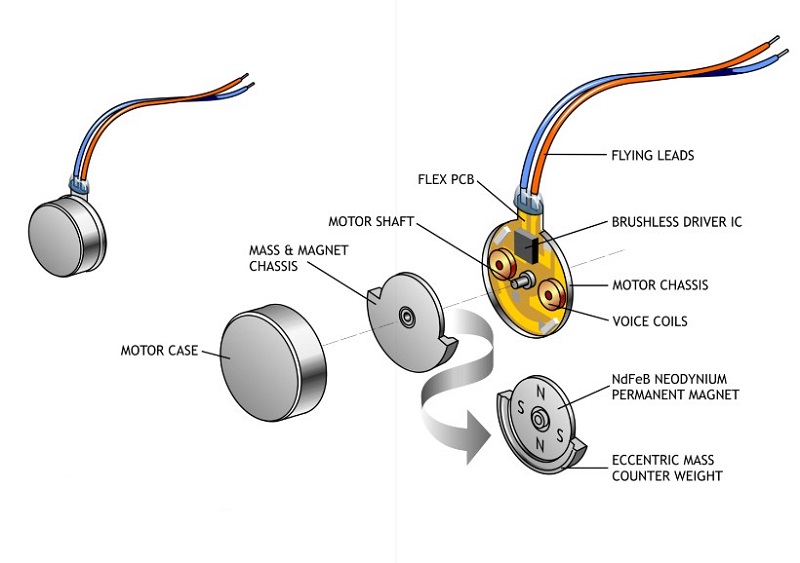 News - Eccentric Rotating Mass Vibration Motors – ERMs
