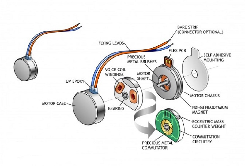News - Eccentric Rotating Mass Vibration Motors – ERMs
